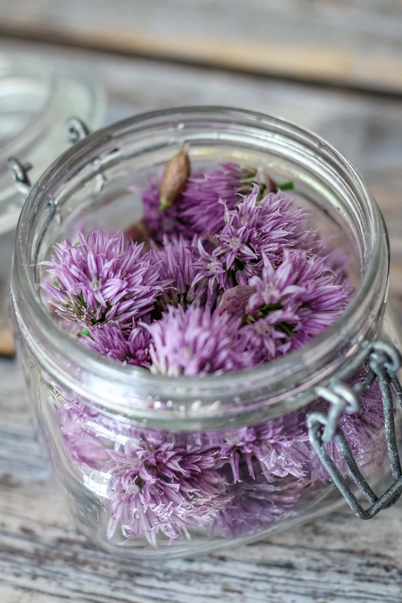 Chive Blossom Vinegar - Classic Recipes